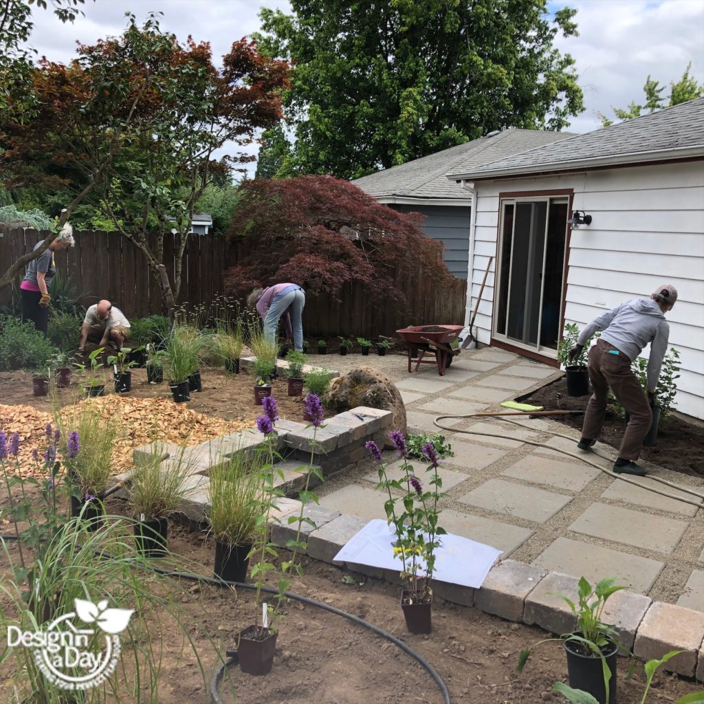 bee friendly plants Archives - Landscape Design In A Day