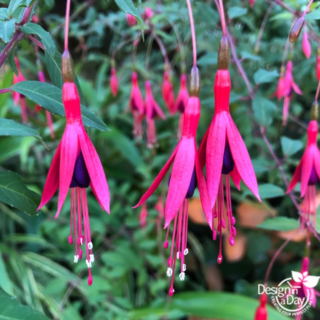 Blog - Page 9 of 49 - Landscape Design In A Day