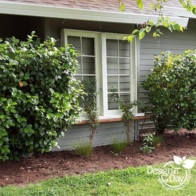aloha window trellis - Landscape Design In A Day