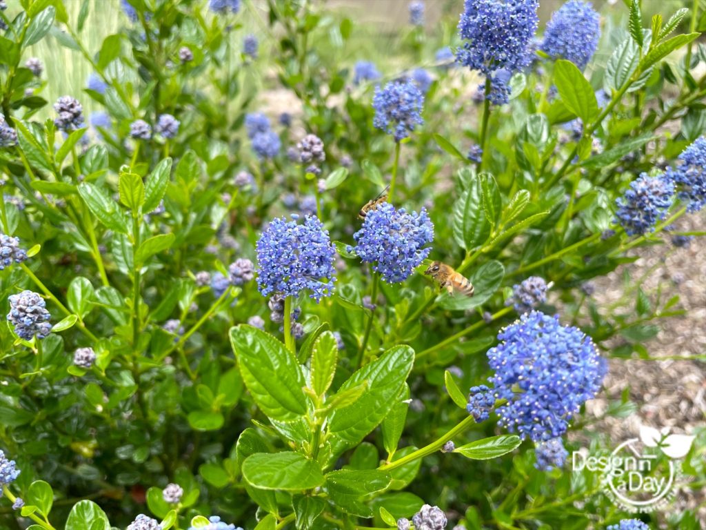 Blog - Page 2 of 46 - Landscape Design In A Day