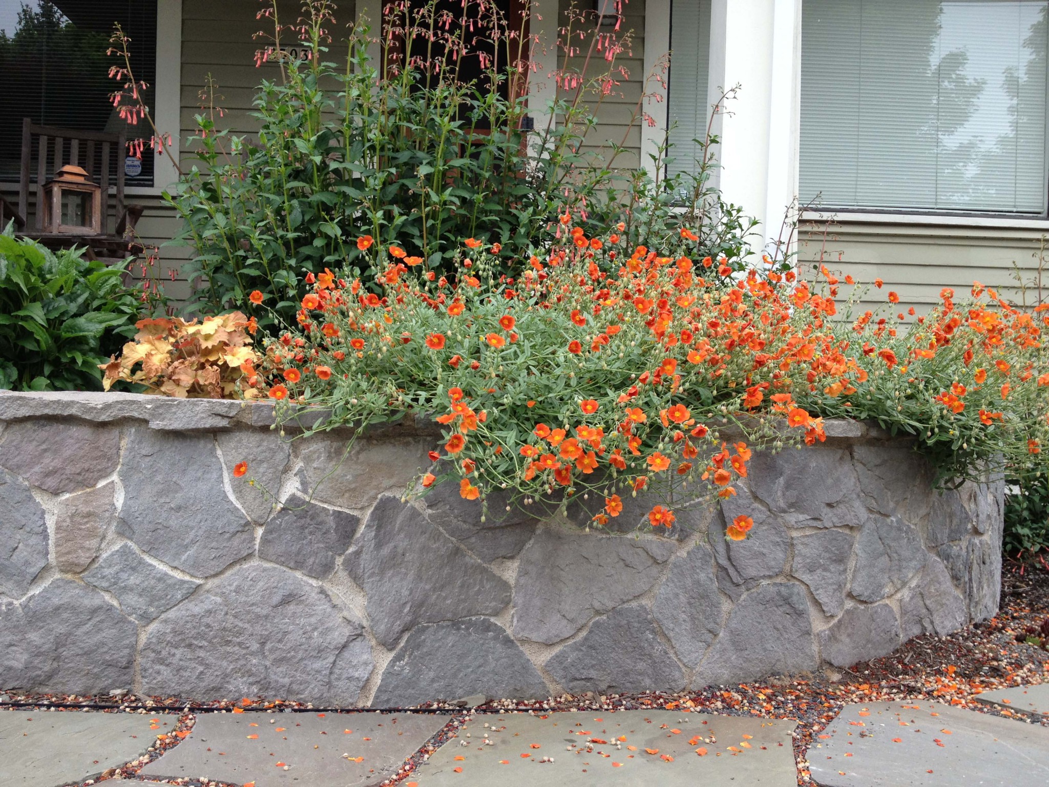 Hardscape Planters Can Improve Your Landscaping
