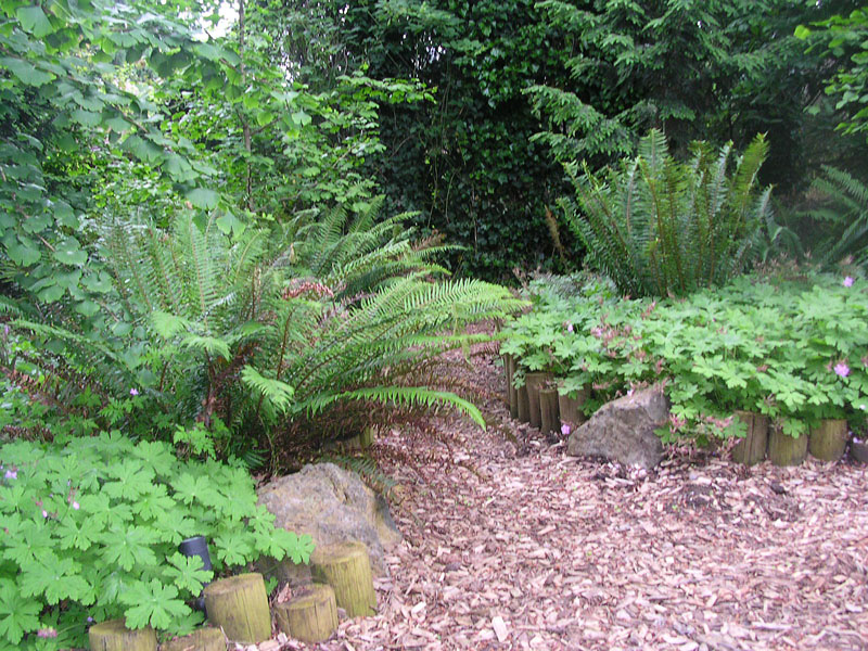 cedar chip paths Archives - Landscape Design In A Day